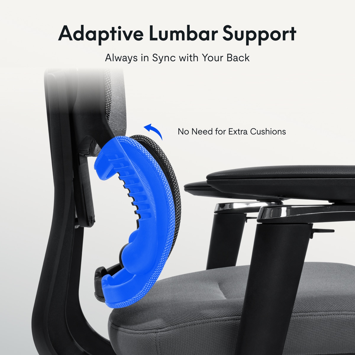 Professional Ergonomic Office Chair | Comfortable Chair C7M | Flexispot